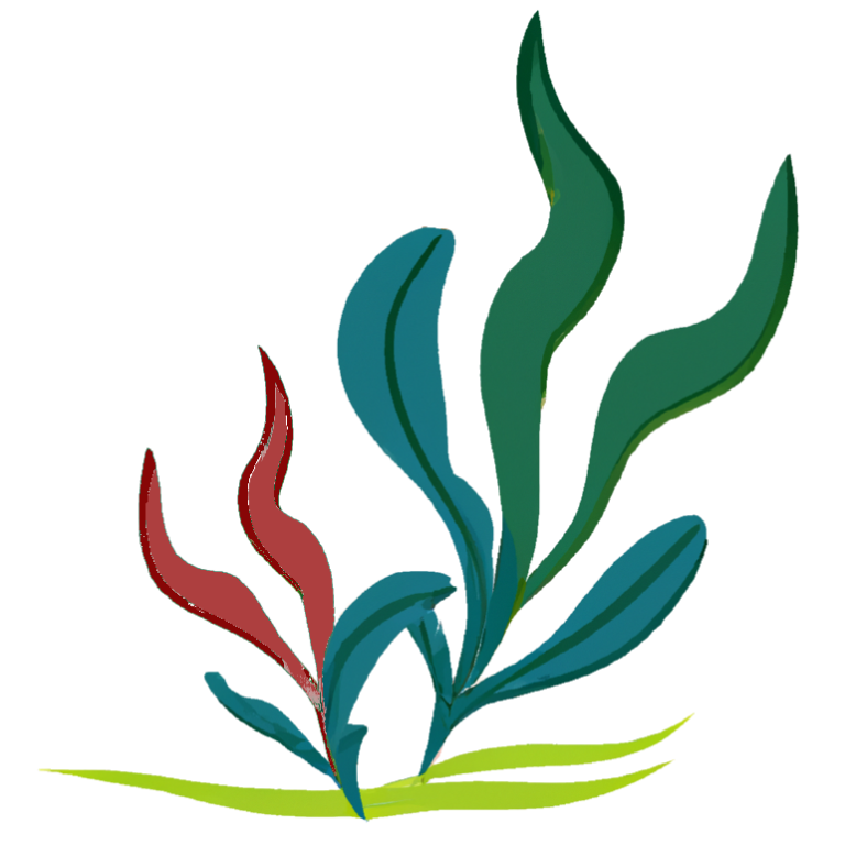 Seaweeds of the UK - Savory Seaweed